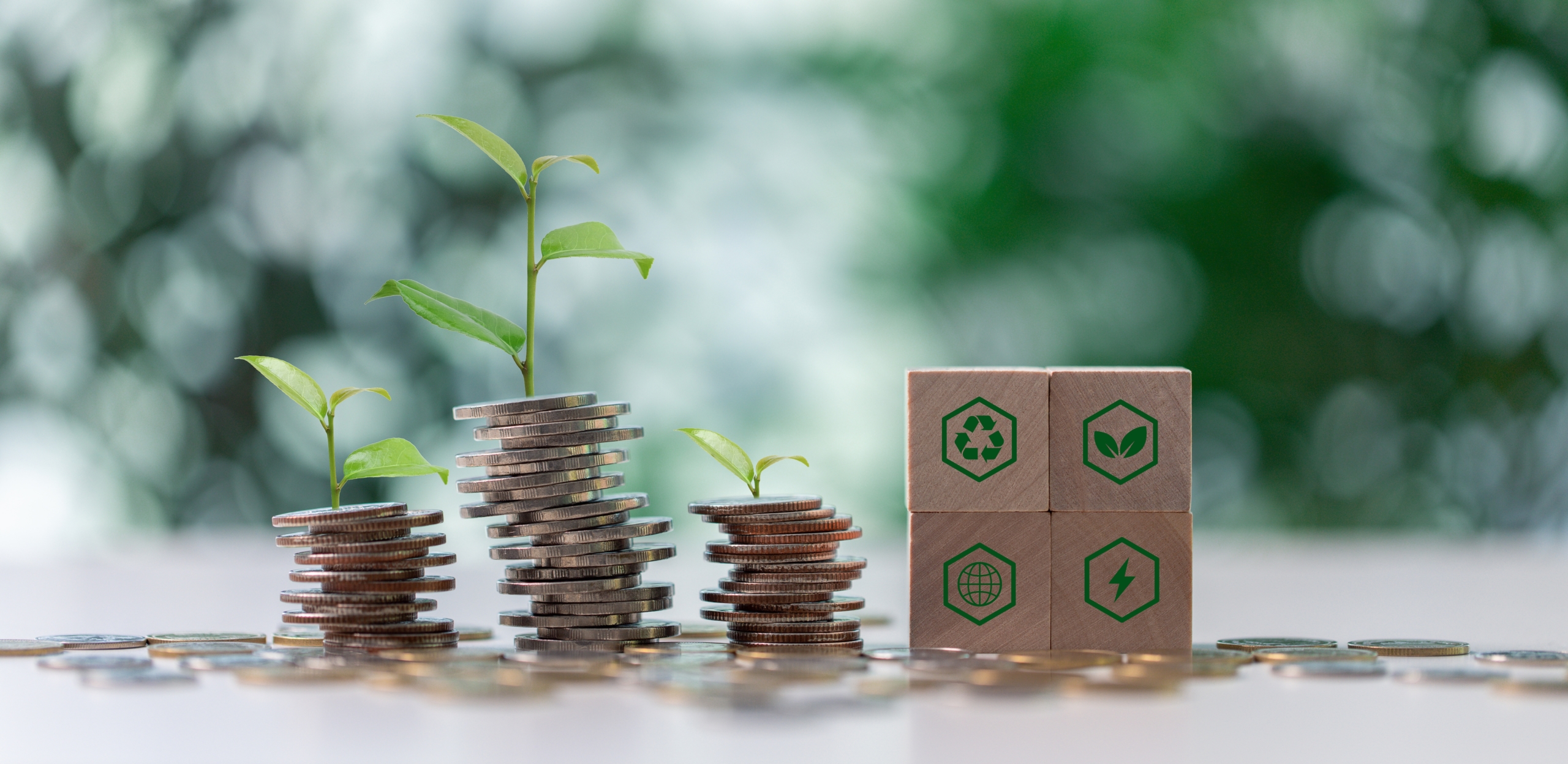 Combining policy instruments to achieve climate neutrality | BFE ...